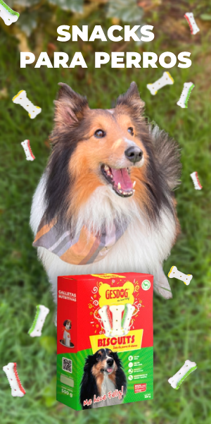 SNACK perro - Didopet